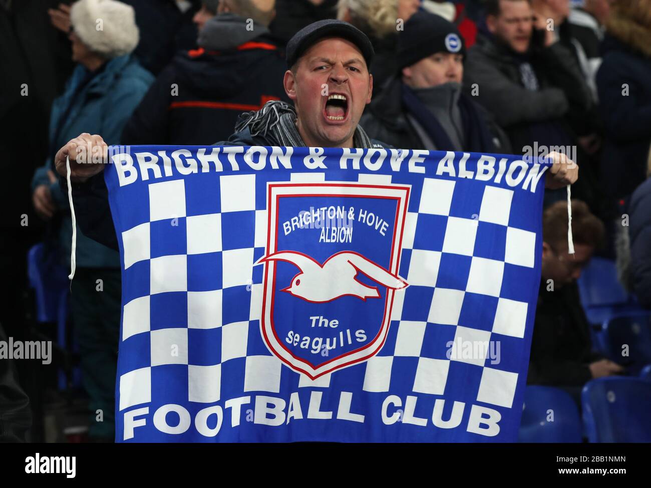 A Brighton and Hove Albion fan in the stands shows his support Stock ...