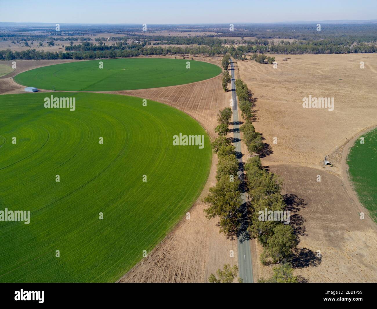Aerial of centre pivot irrigation system in use growing lucerne for ...