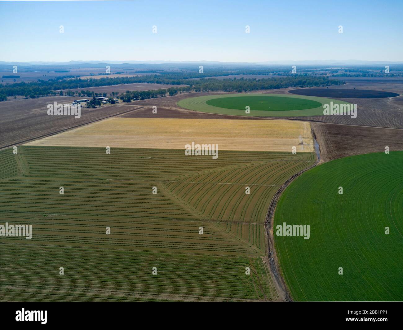 Aerial of centre pivot irrigation system in use growing lucerne for ...