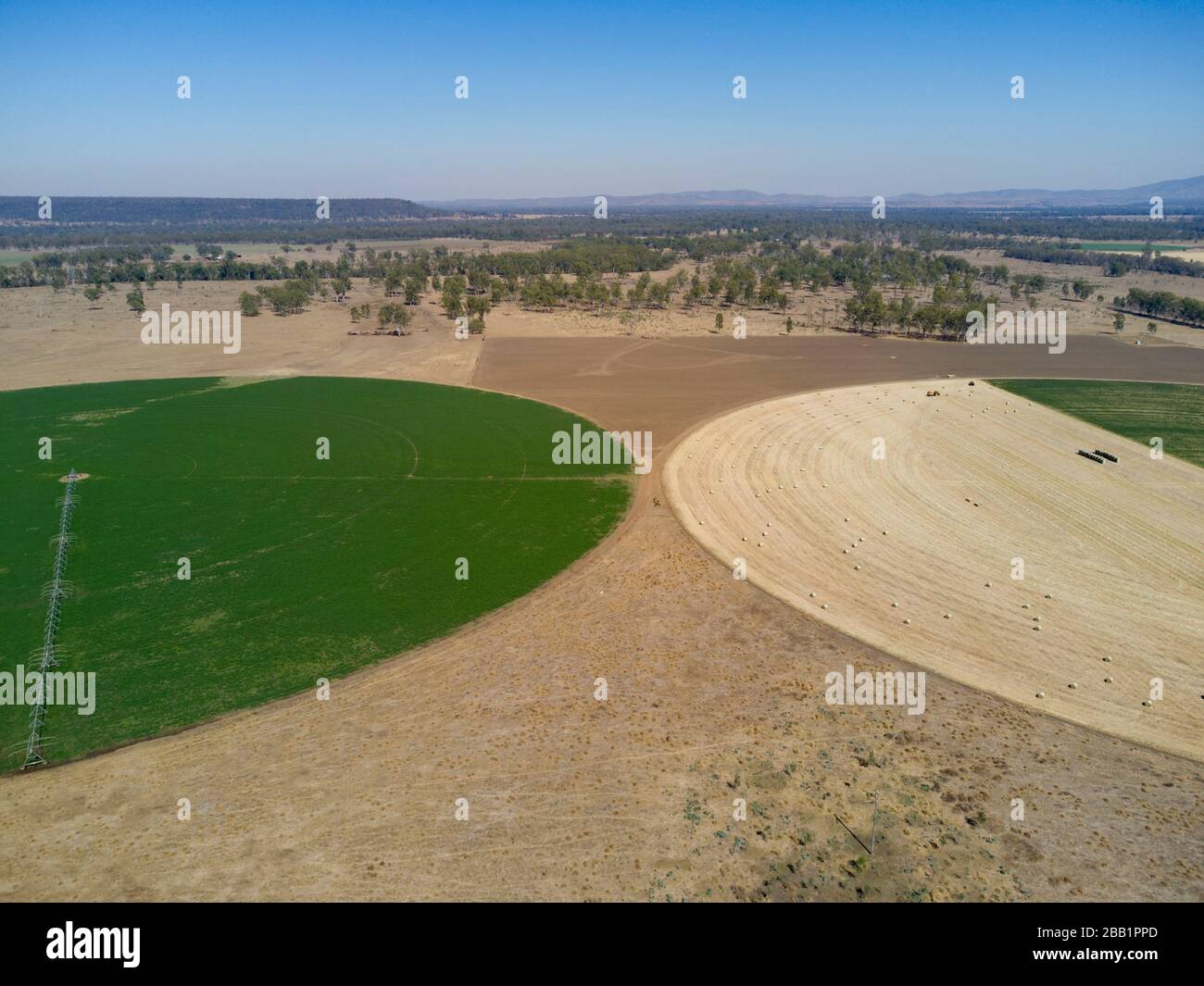 Aerial of centre pivot irrigation system in use growing lucerne for ...