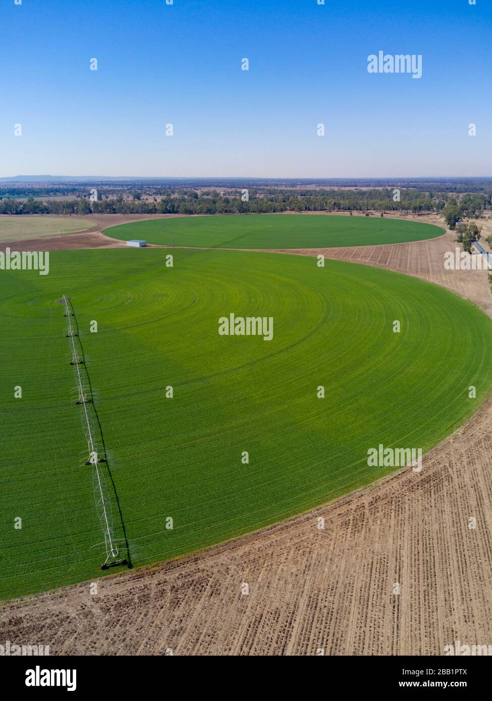 Aerial of centre pivot irrigation system in use growing lucerne for ...