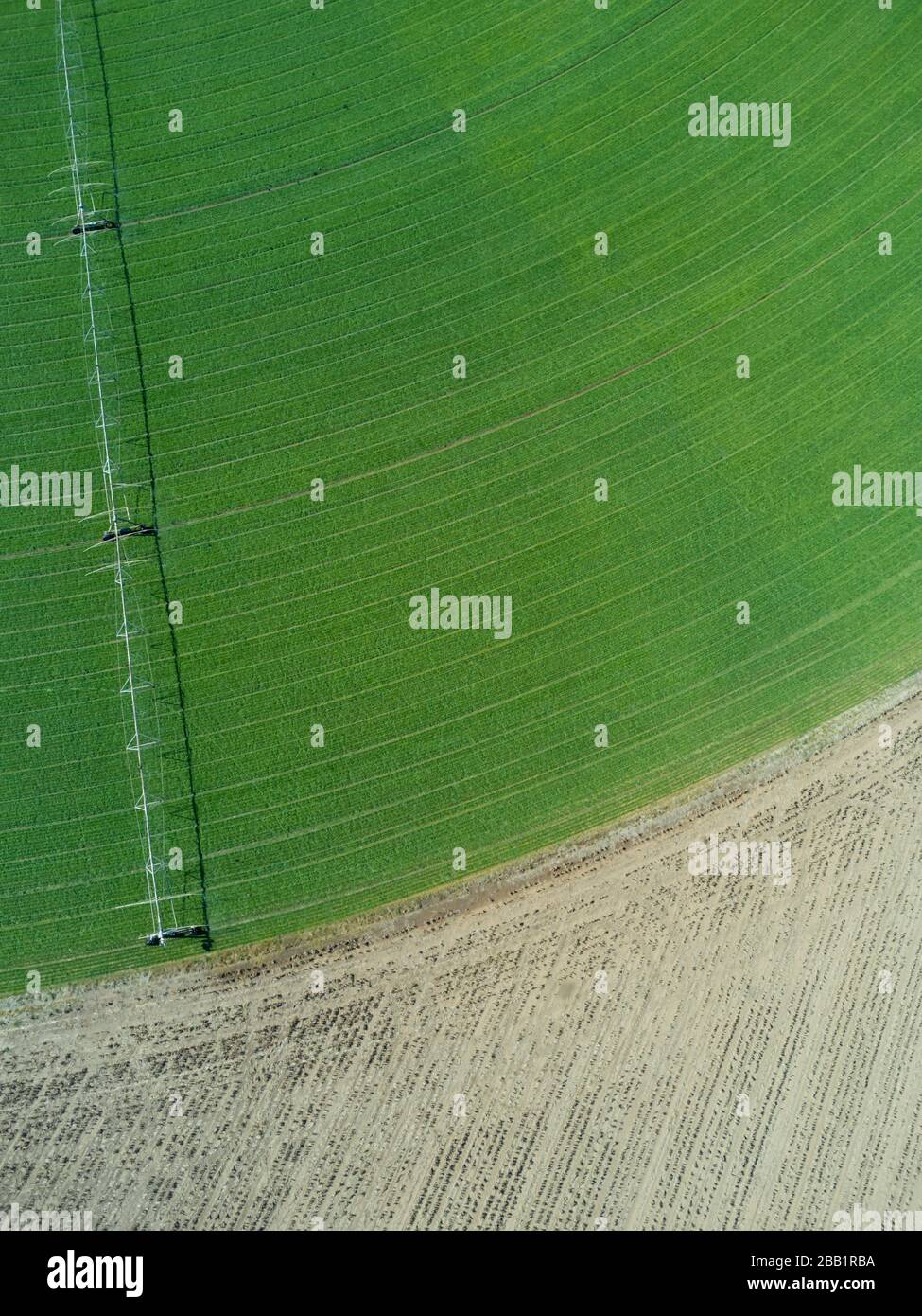 Aerial of centre pivot irrigation system in use growing lucerne for ...