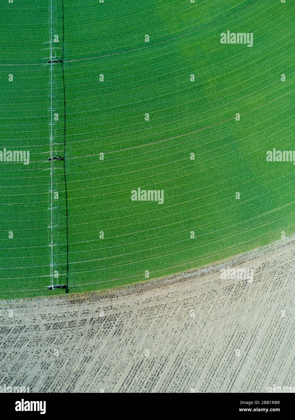 Aerial of centre pivot irrigation system in use growing lucerne for ...