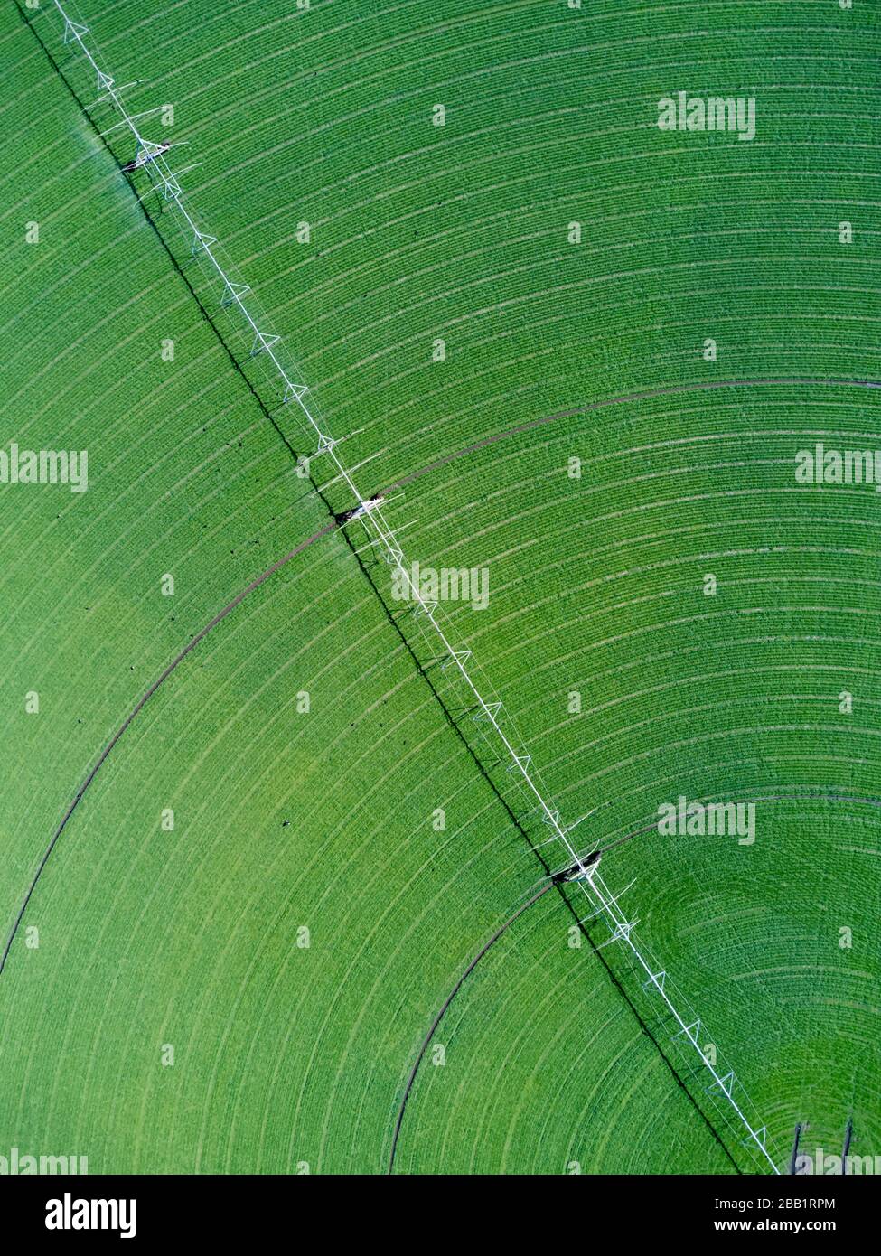 Aerial of centre pivot irrigation system in use growing lucerne for ...
