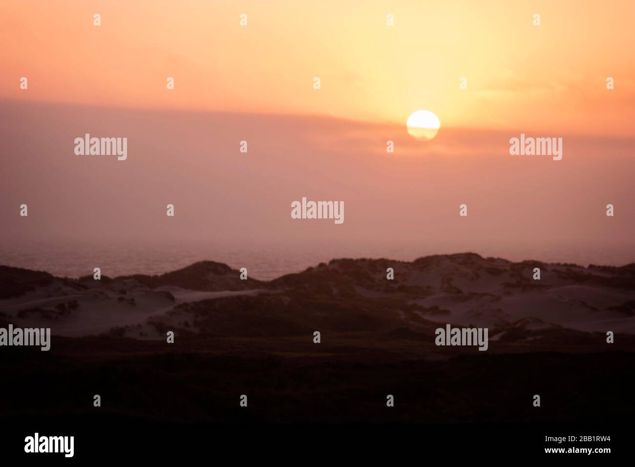 Dunes amrum island north hi-res stock photography and images - Alamy