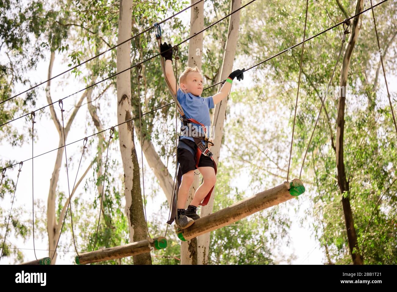 Color photo of a young beautiful boy climbing on suspended ropes or ...