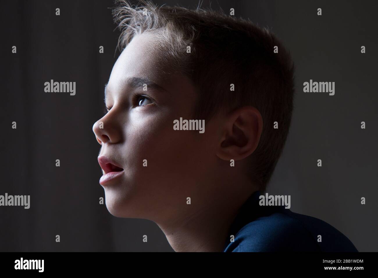 Screen based activities hi-res stock photography and images - Alamy