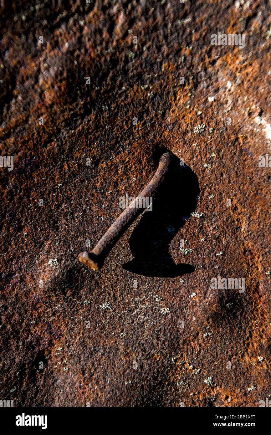 Rusty nail in metal texture in Georgia Stock Photo - Alamy
