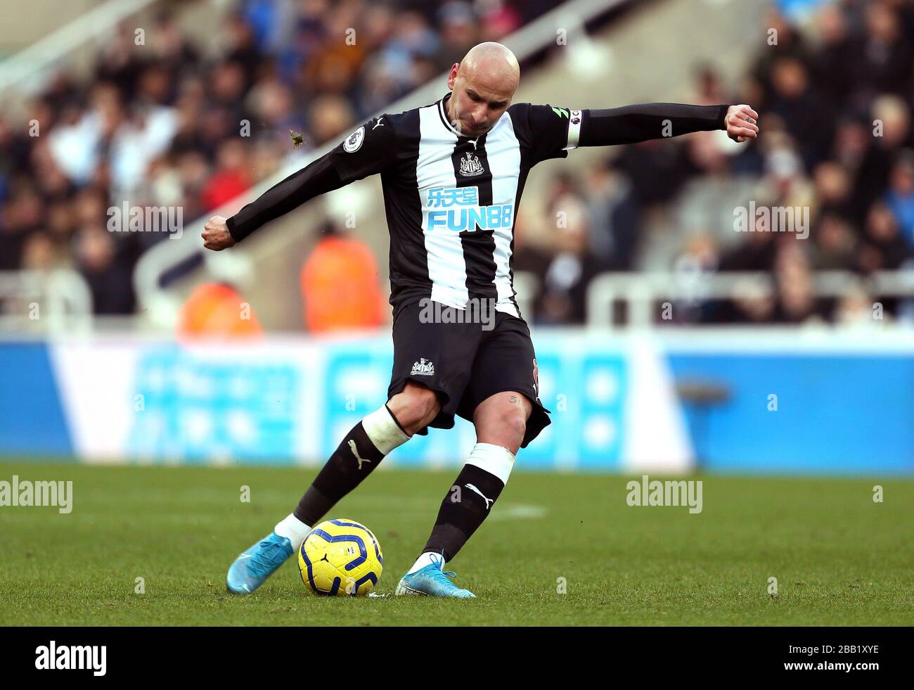 Newcastle United's Jonjo Shelvey Stock Photo - Alamy