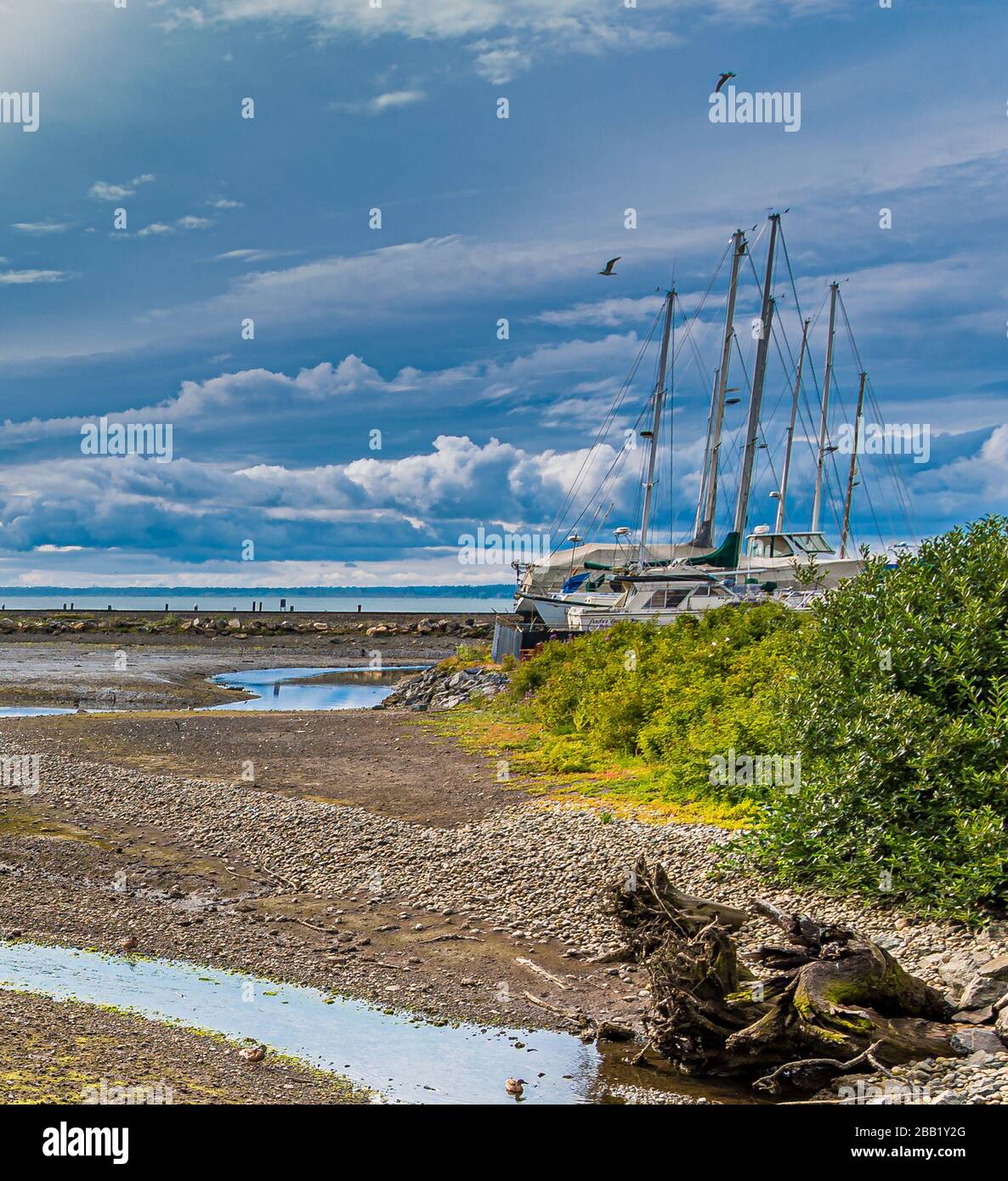 Port in a storm hi-res stock photography and images - Alamy