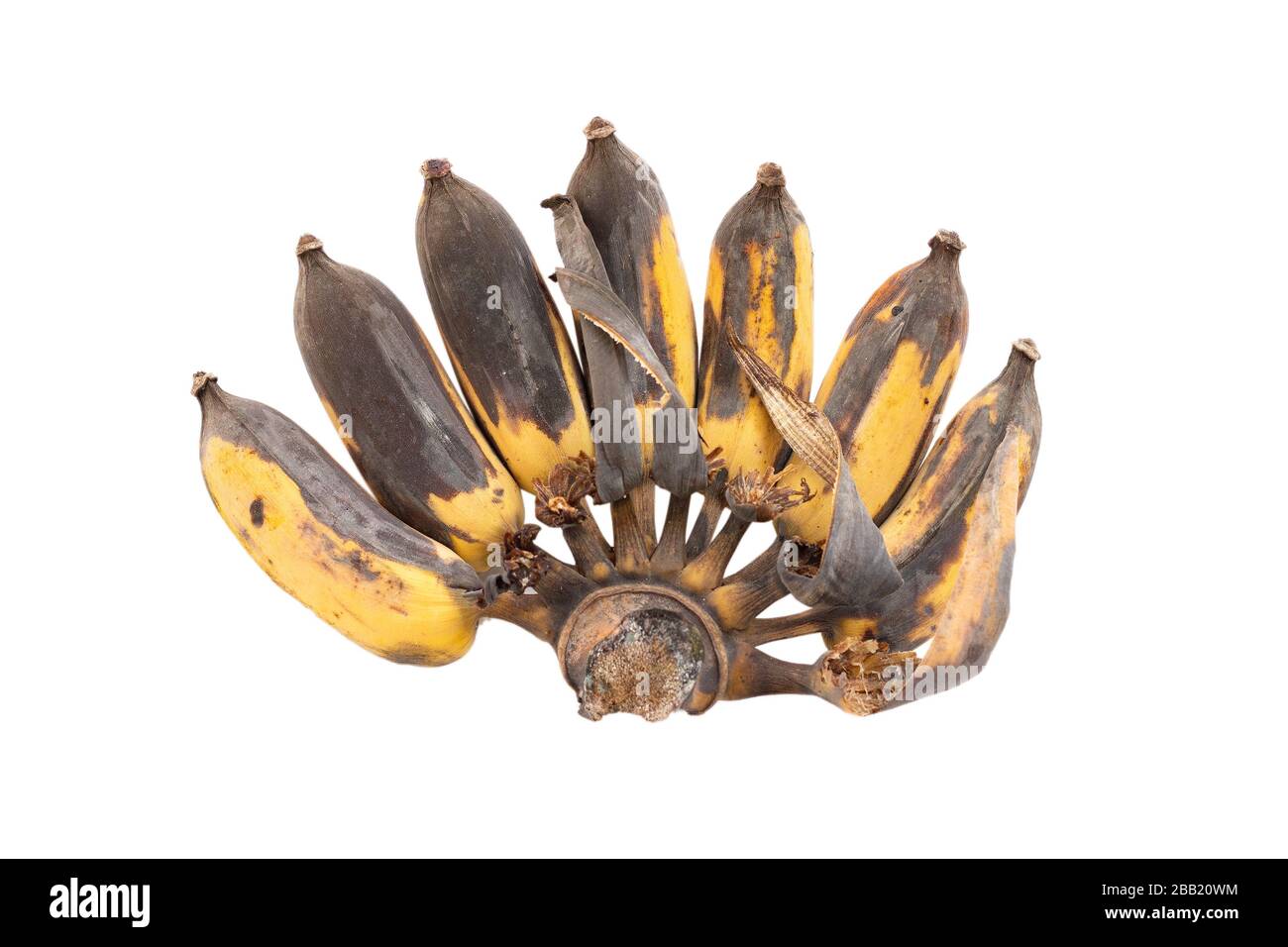 ripe old dark brown bananas isolate on white background Stock Photo - Alamy