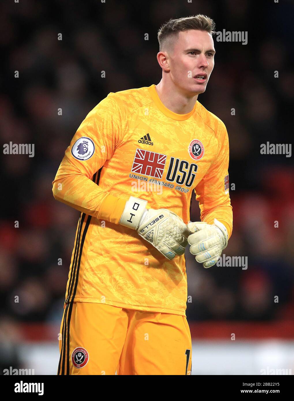 Sheffield United goalkeeper Dean Henderson Stock Photo - Alamy