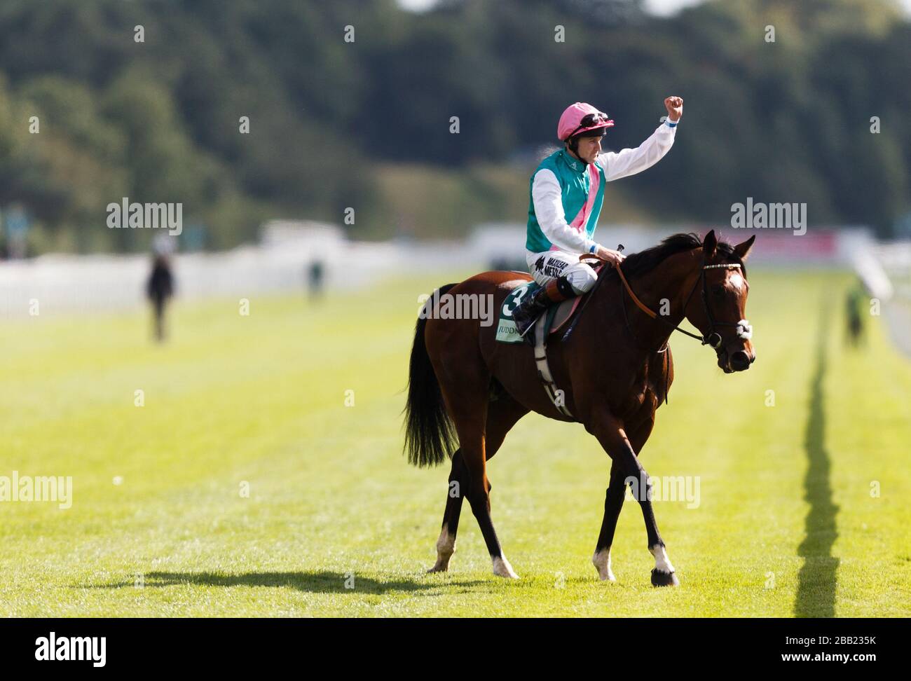 Tom Queally onboard Frankel celebrates on his parade past the ...