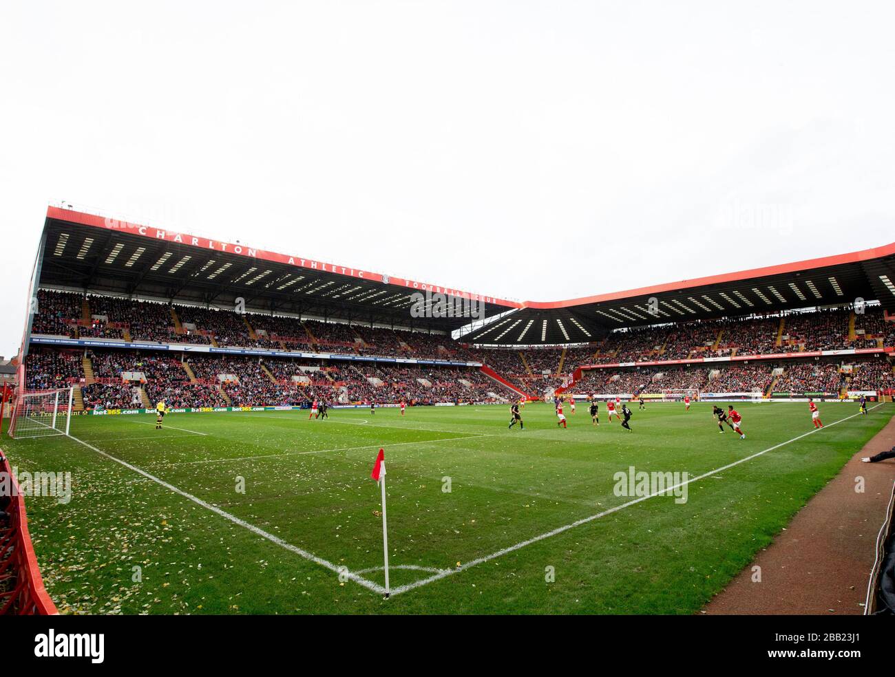 Half length top mid general view hi-res stock photography and images ...