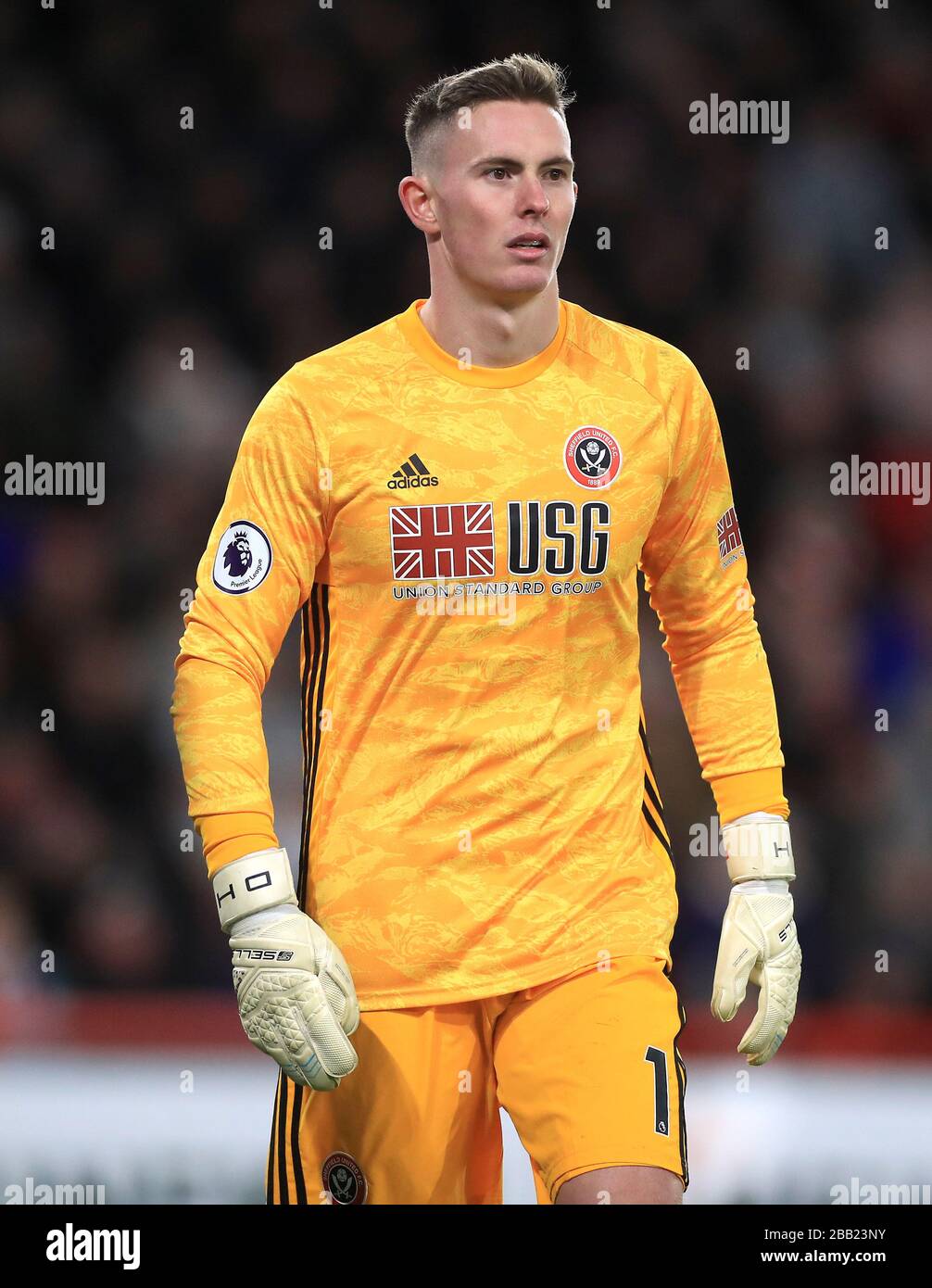 Sheffield United goalkeeper Dean Henderson Stock Photo - Alamy