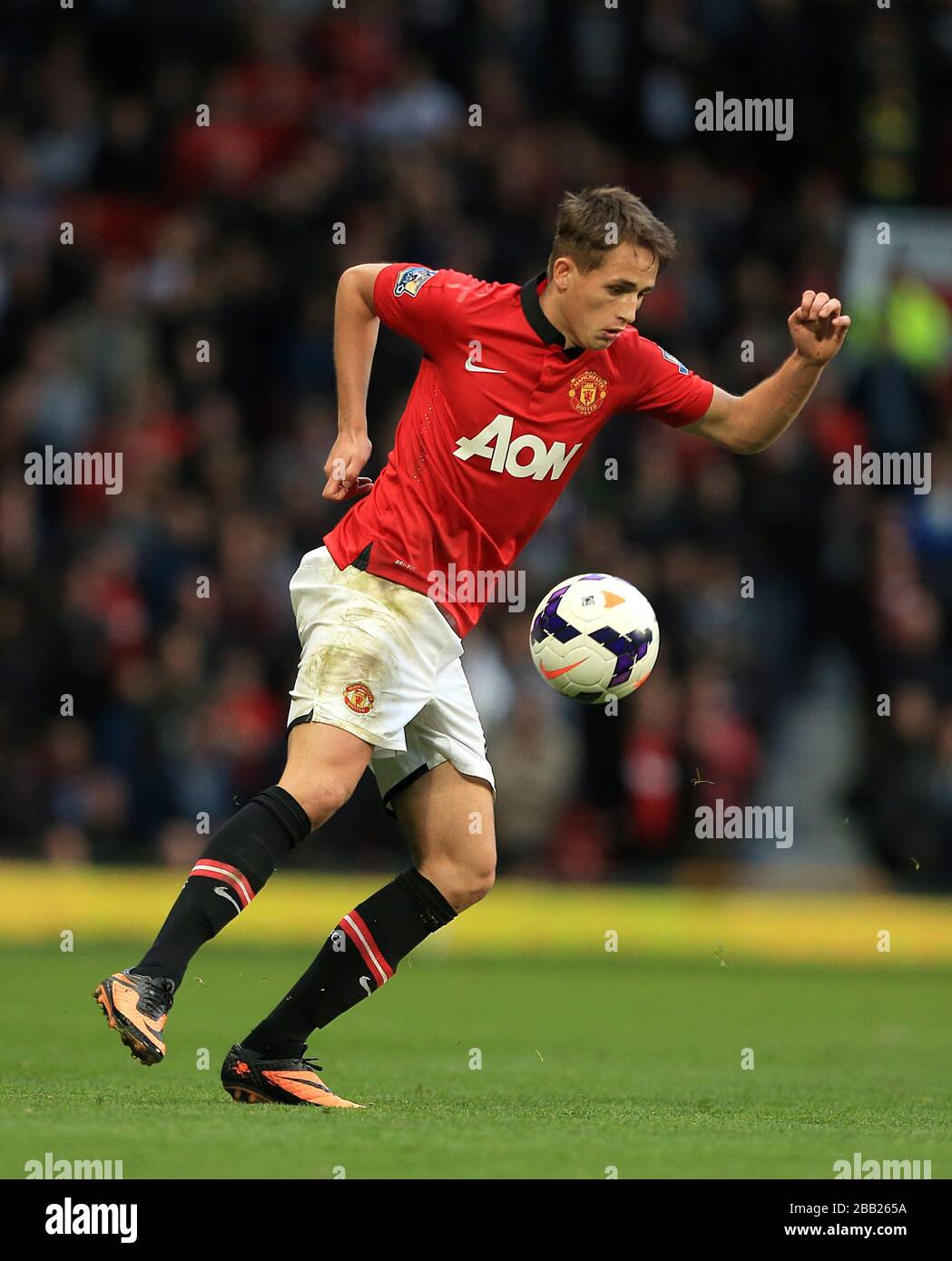 Adnan januzaj manchester united hi-res stock photography and images - Alamy