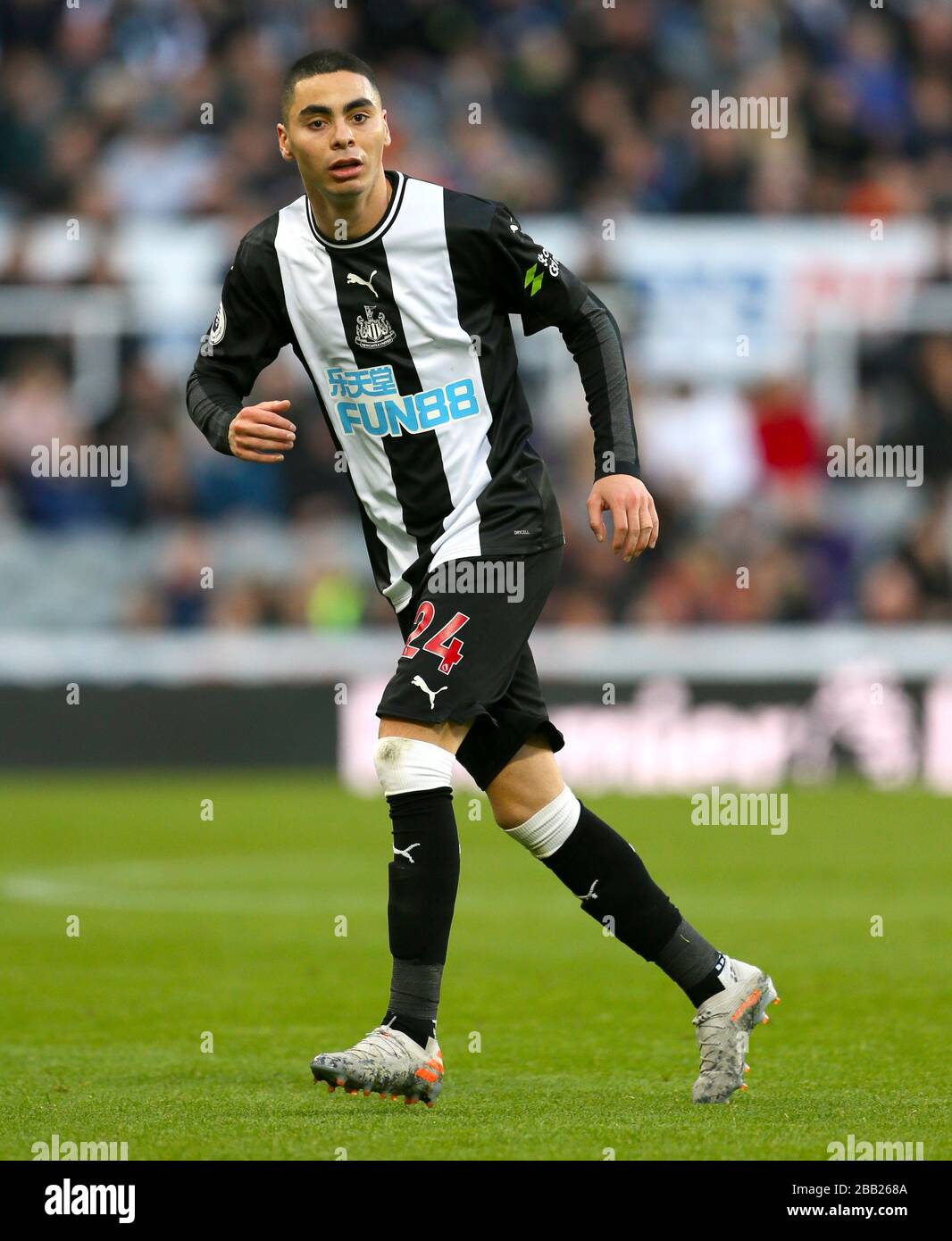 Newcastle United's Miguel Almiron Stock Photo - Alamy