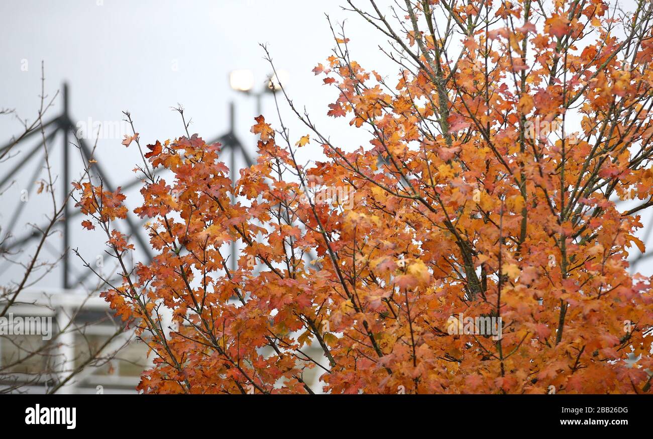 Autumn leaves in front of Pride Park before kick-off Stock Photo - Alamy