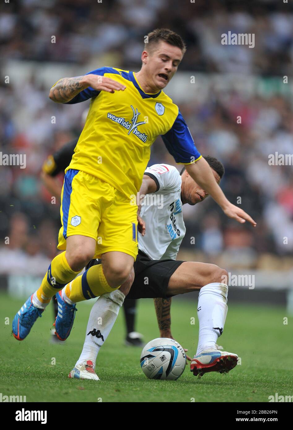 Sheffield Wednesday's Rhys McCabe Stock Photo - Alamy