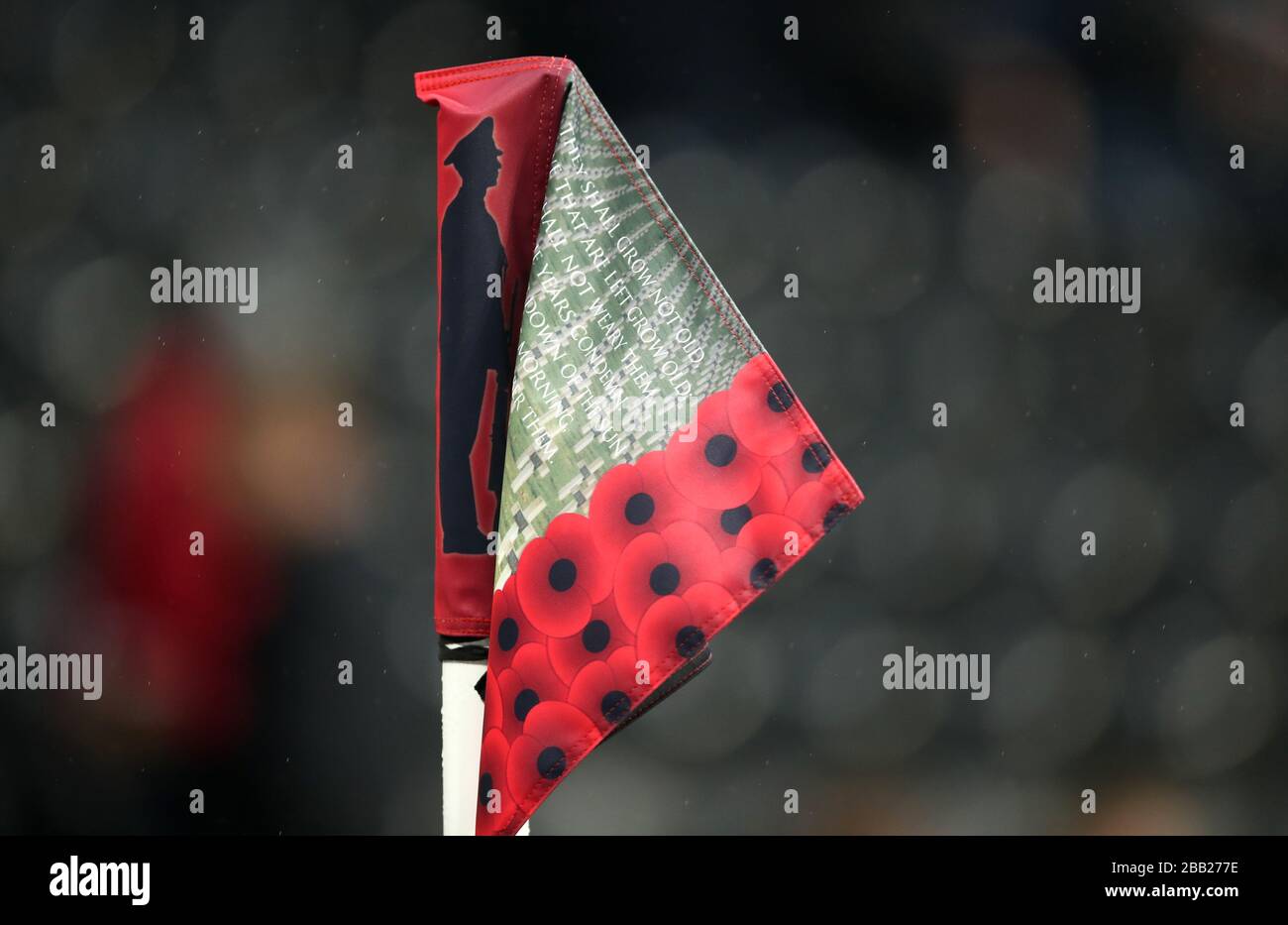 A remembrance day corner flag Stock Photo - Alamy