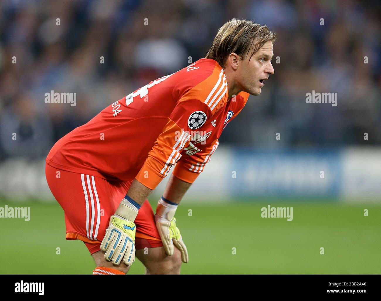 Timo Hildebrand, Schalke 04 goalkeeper Stock Photo - Alamy
