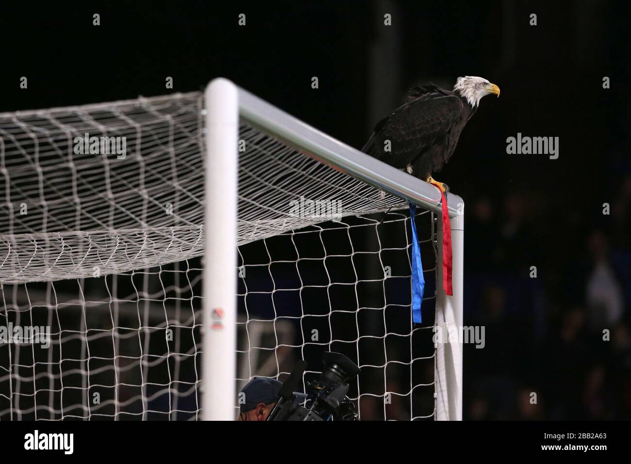 Crystal Palace mascot Kayla the Eagle prior to kick-off Stock Photo - Alamy