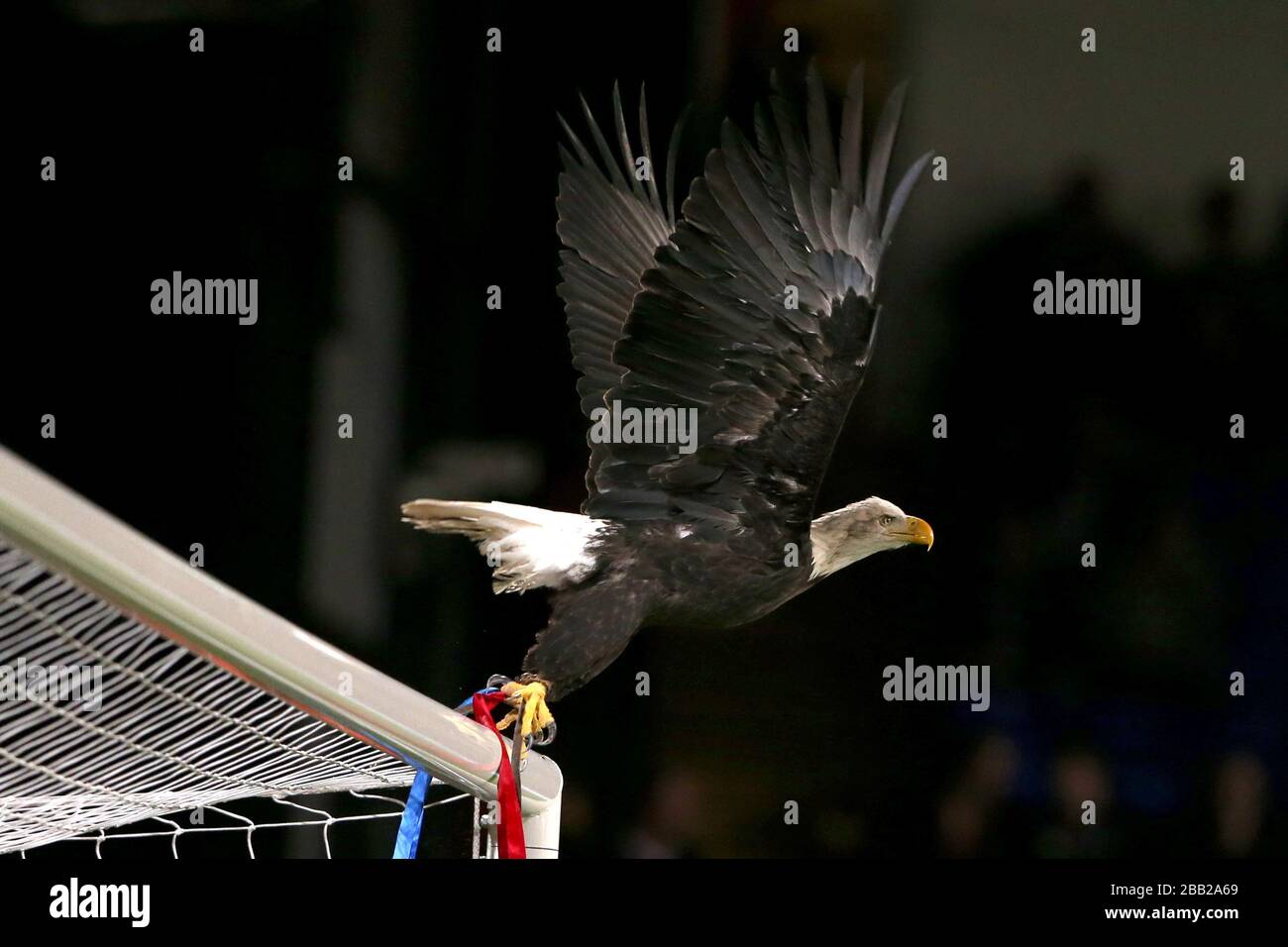 Crystal Palace mascot Kayla the Eagle prior to kick-off Stock Photo - Alamy