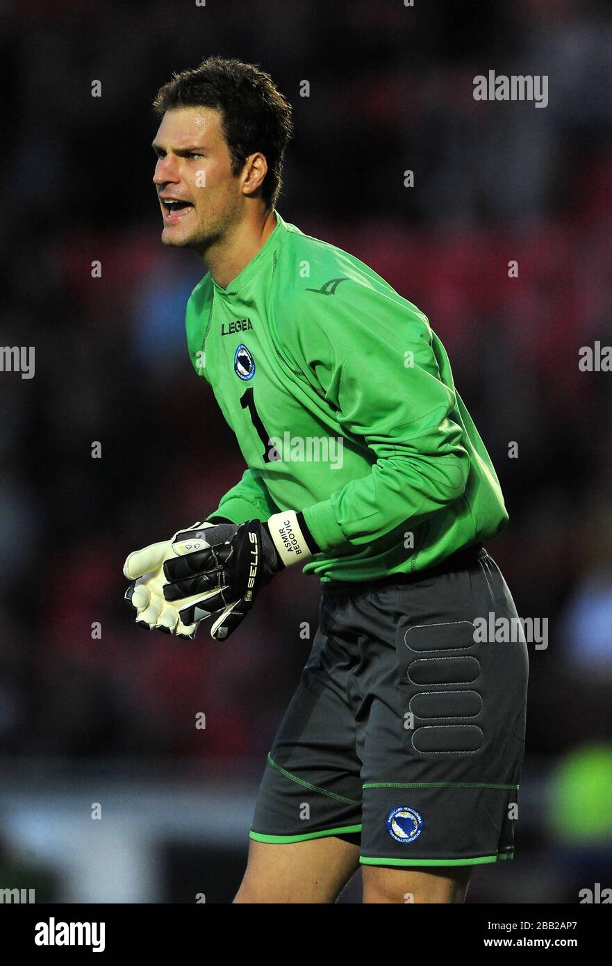 Asmir Begovic, Bosnia-Herzegovina goalkeeper Stock Photo - Alamy