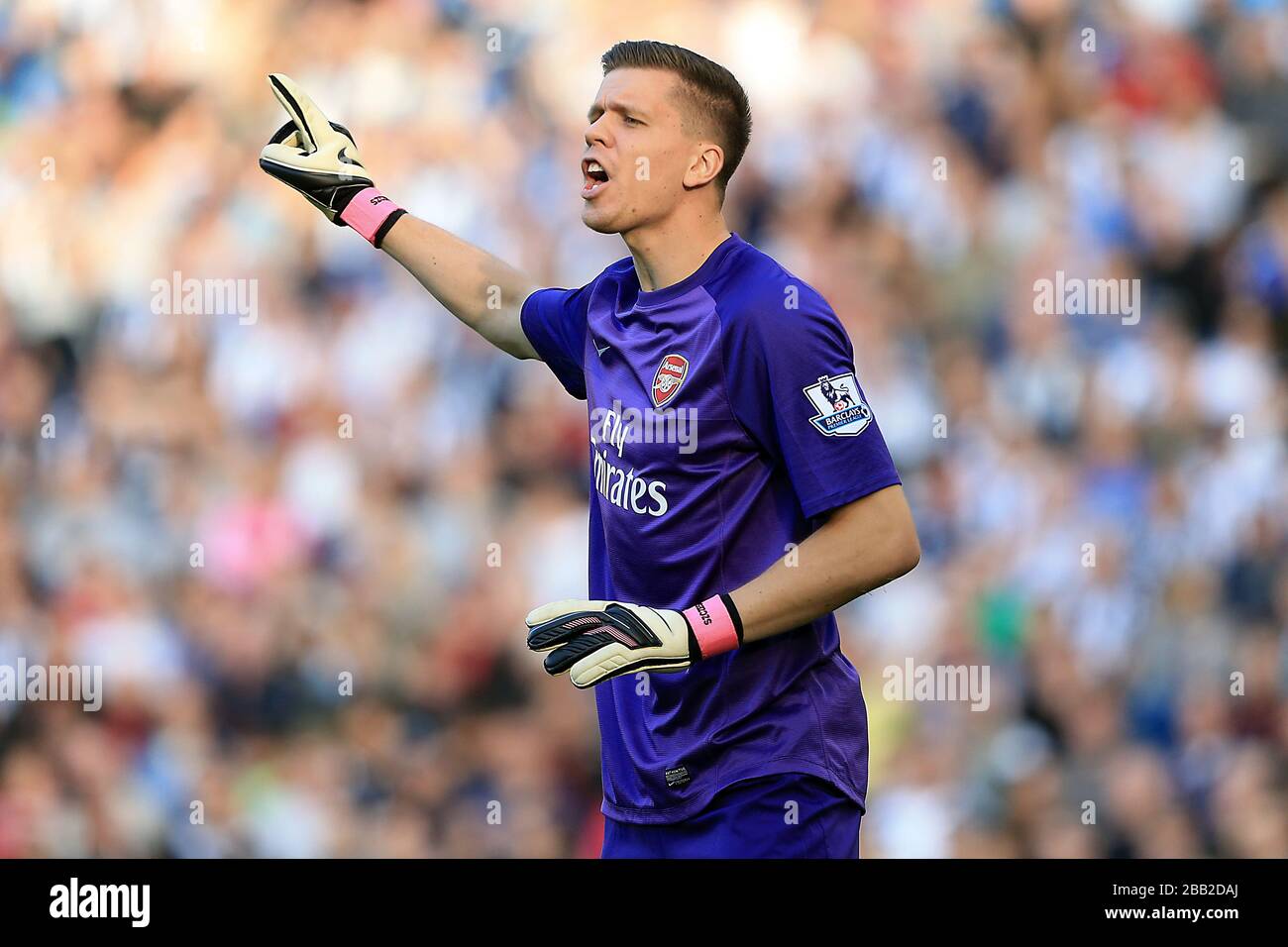 Wojciech szczesny, arsenal goalkeeper hi-res stock photography and ...