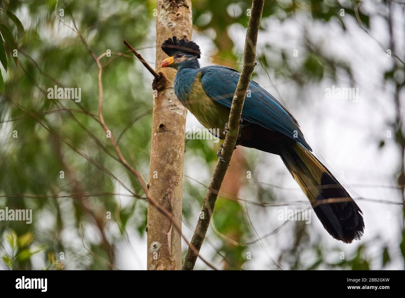Animal Santuary High Resolution Stock Photography and Images - Alamy
