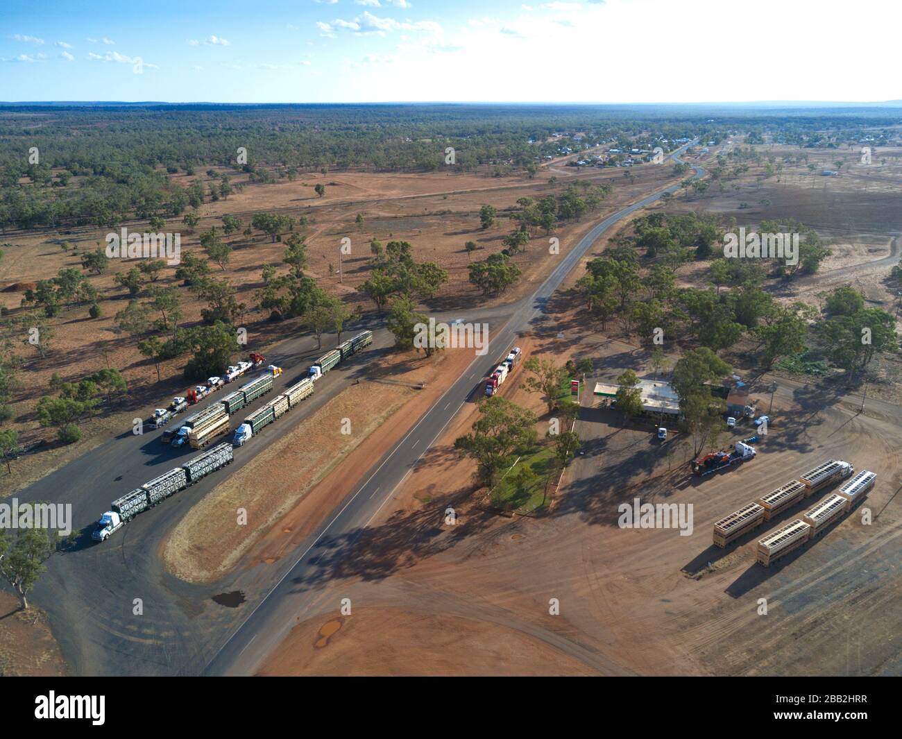 Livestock Roadtrains carrying cattle to the Roma Livestock Saleyards ...