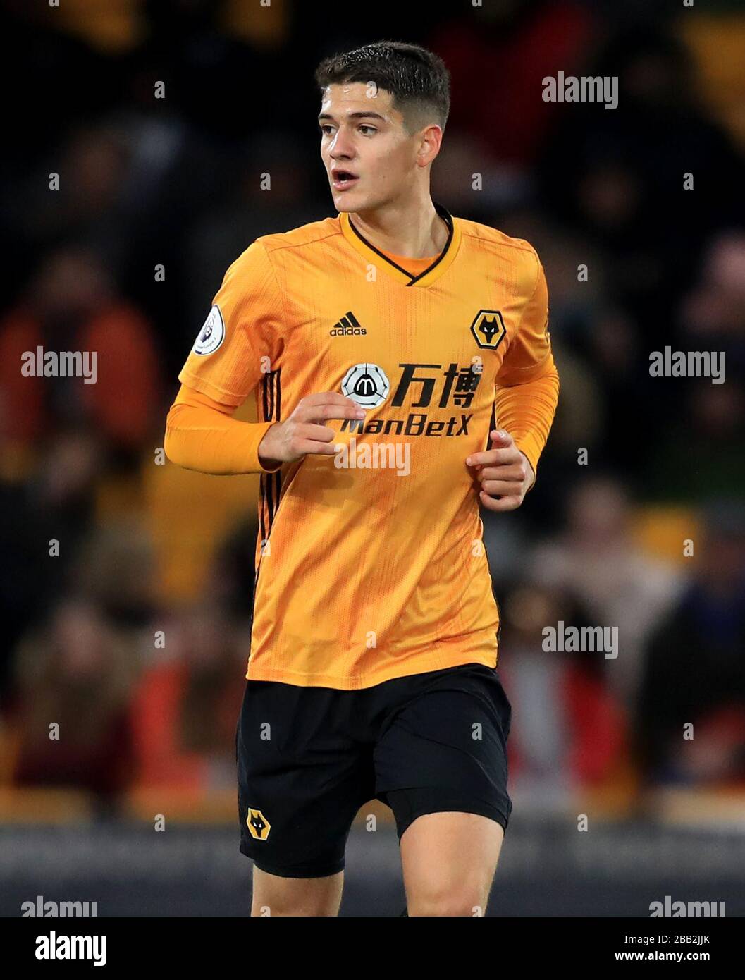 Wolves christian marques hi-res stock photography and images - Alamy