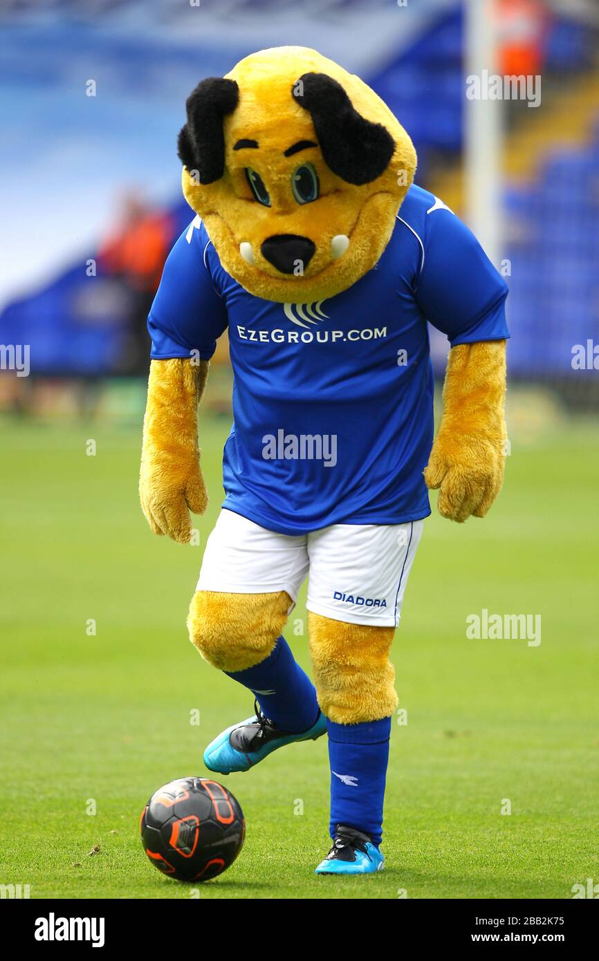 Birmingham city mascot hi-res stock photography and images - Alamy