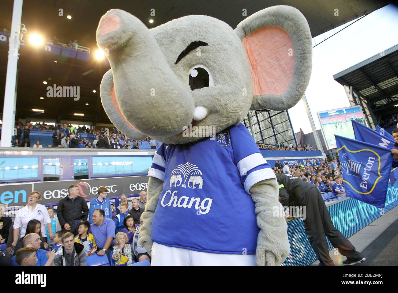 Everton's mascot Changy the Elephant Stock Photo - Alamy