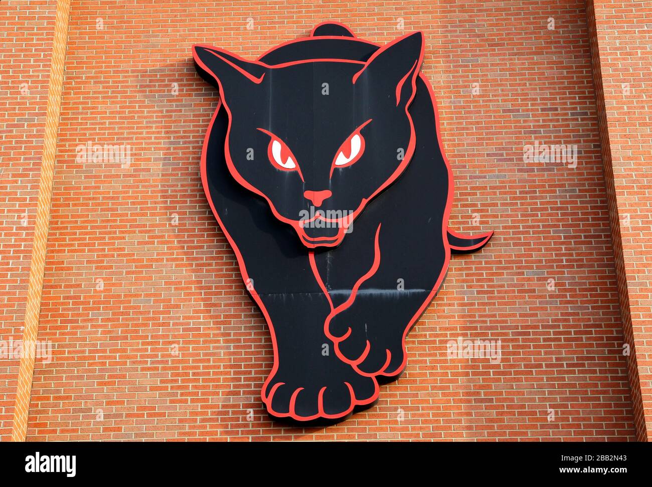 Black cat sign hi-res stock photography and images - Alamy