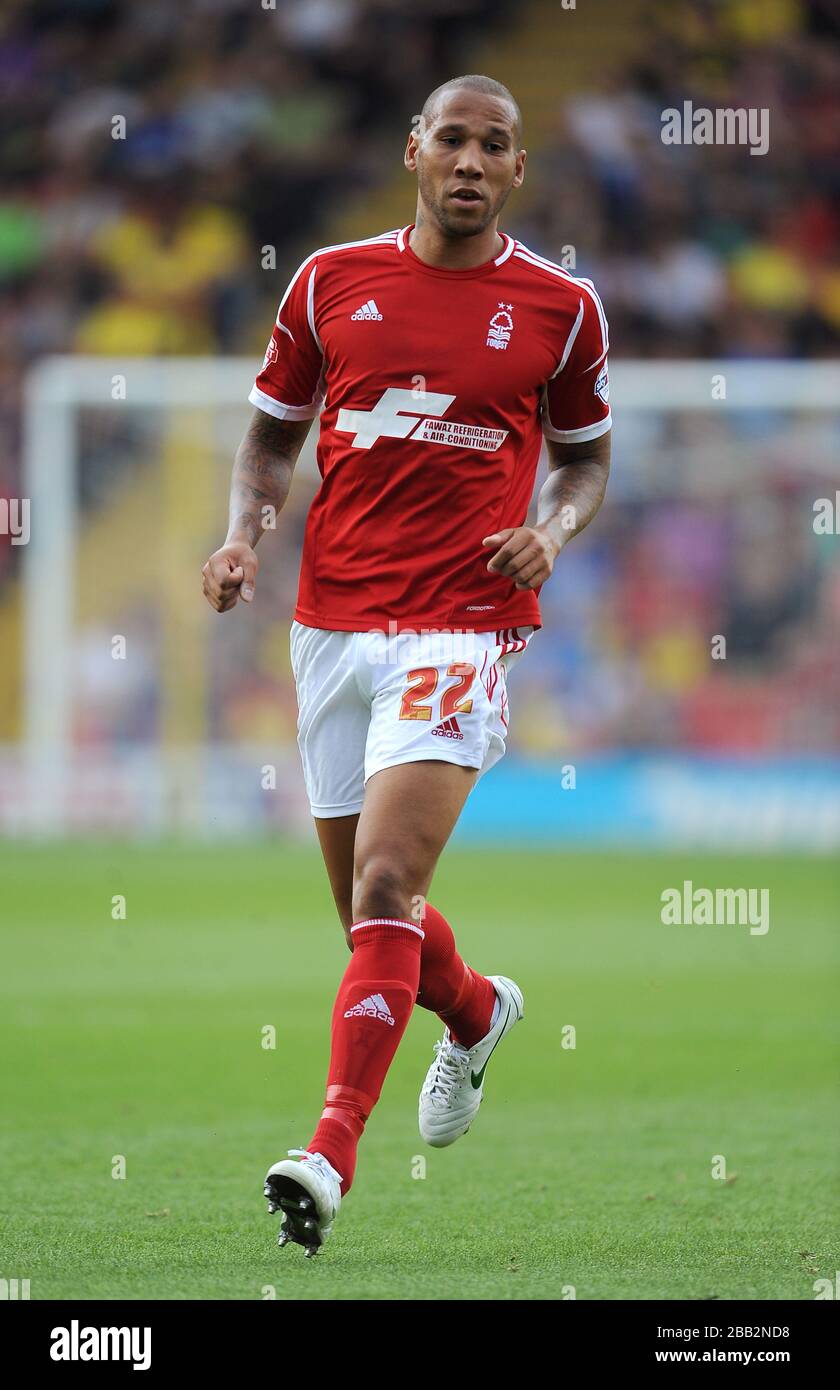 Kelvin wilson forest hi-res stock photography and images - Alamy