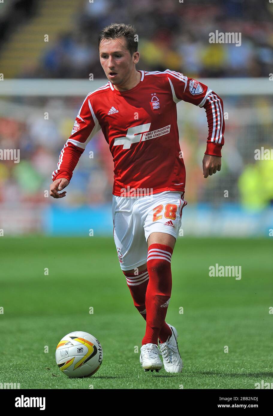 Radoslaw majewski hi-res stock photography and images - Alamy