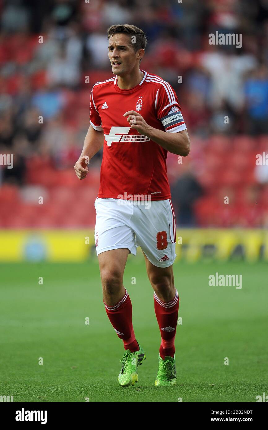 Chris cohen forest hi-res stock photography and images - Alamy