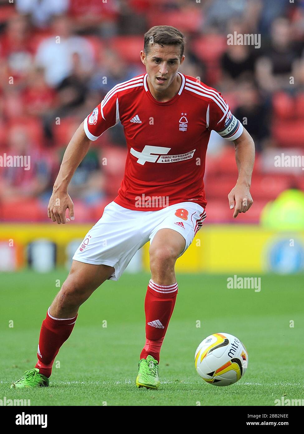 Chris cohen forest hi-res stock photography and images - Alamy