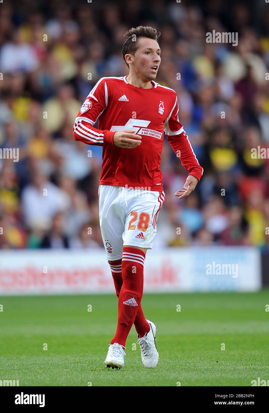 Radoslaw majewski hi-res stock photography and images - Alamy