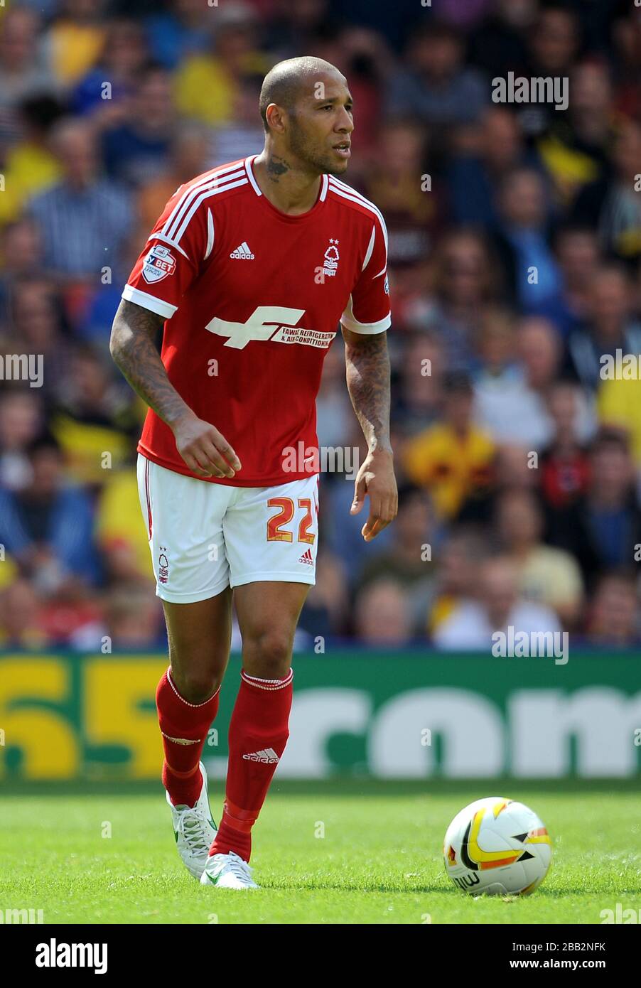 Kelvin wilson hi-res stock photography and images - Alamy