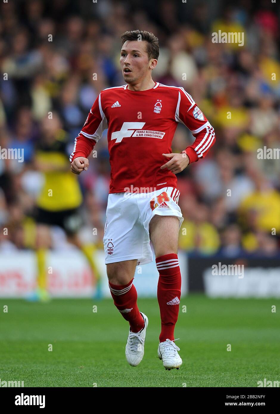 Radoslaw majewski hi-res stock photography and images - Alamy