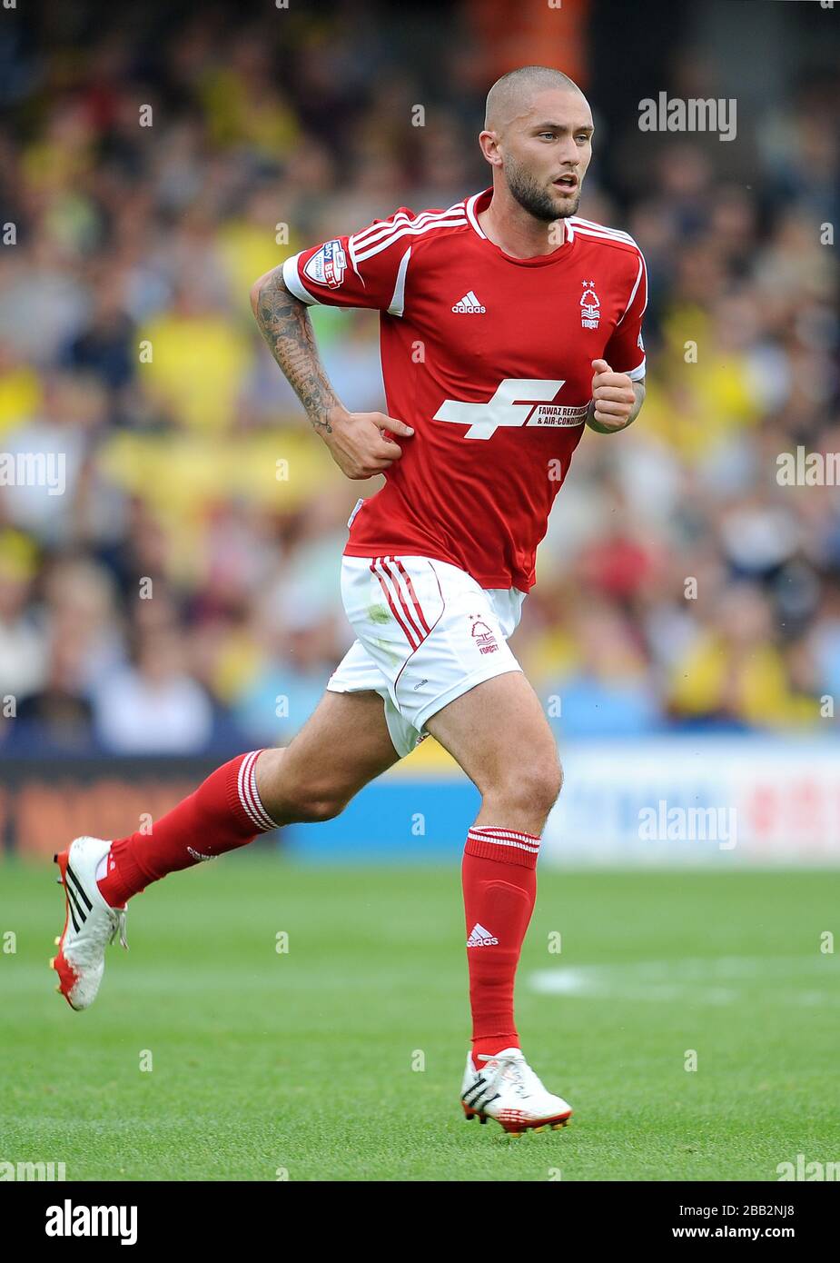 Henri lansbury forest hi-res stock photography and images - Alamy