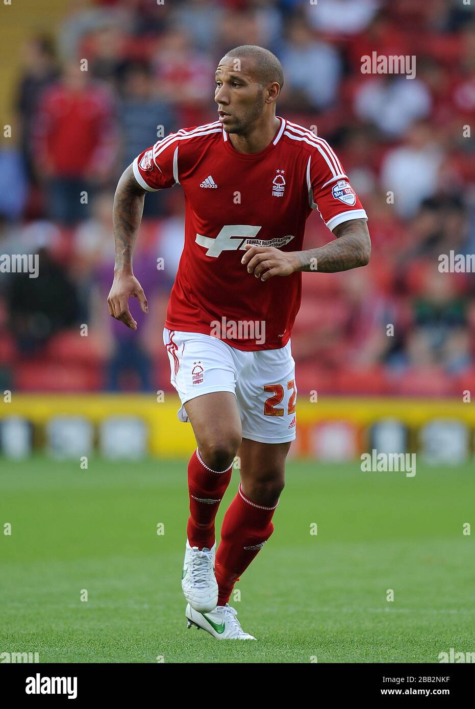 Kelvin wilson hi-res stock photography and images - Alamy