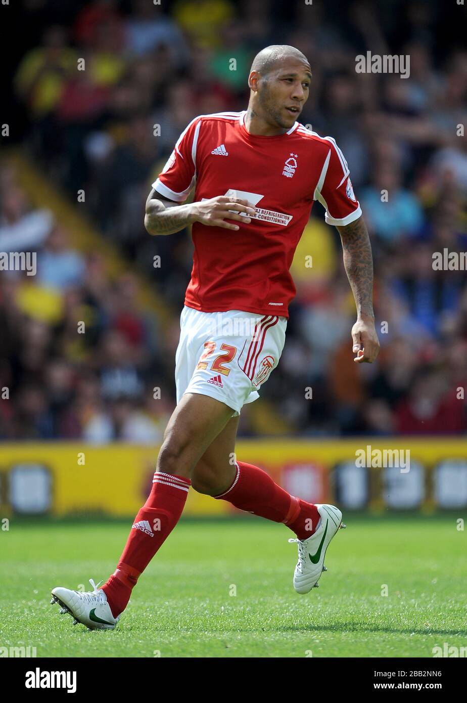Kelvin wilson forest hi-res stock photography and images - Alamy