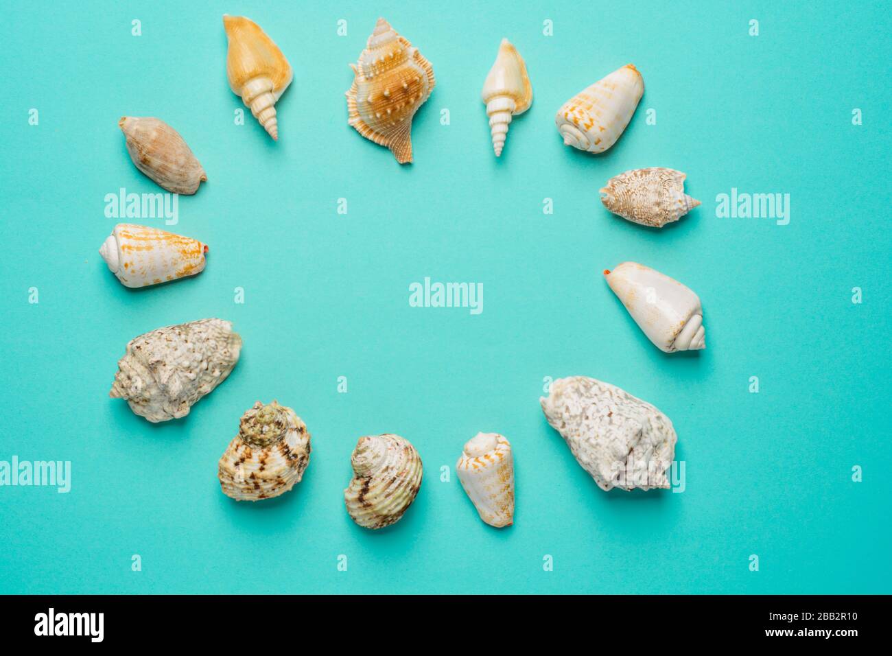 Flat lay. Top view. Frame of shells of various kinds on a blue ...