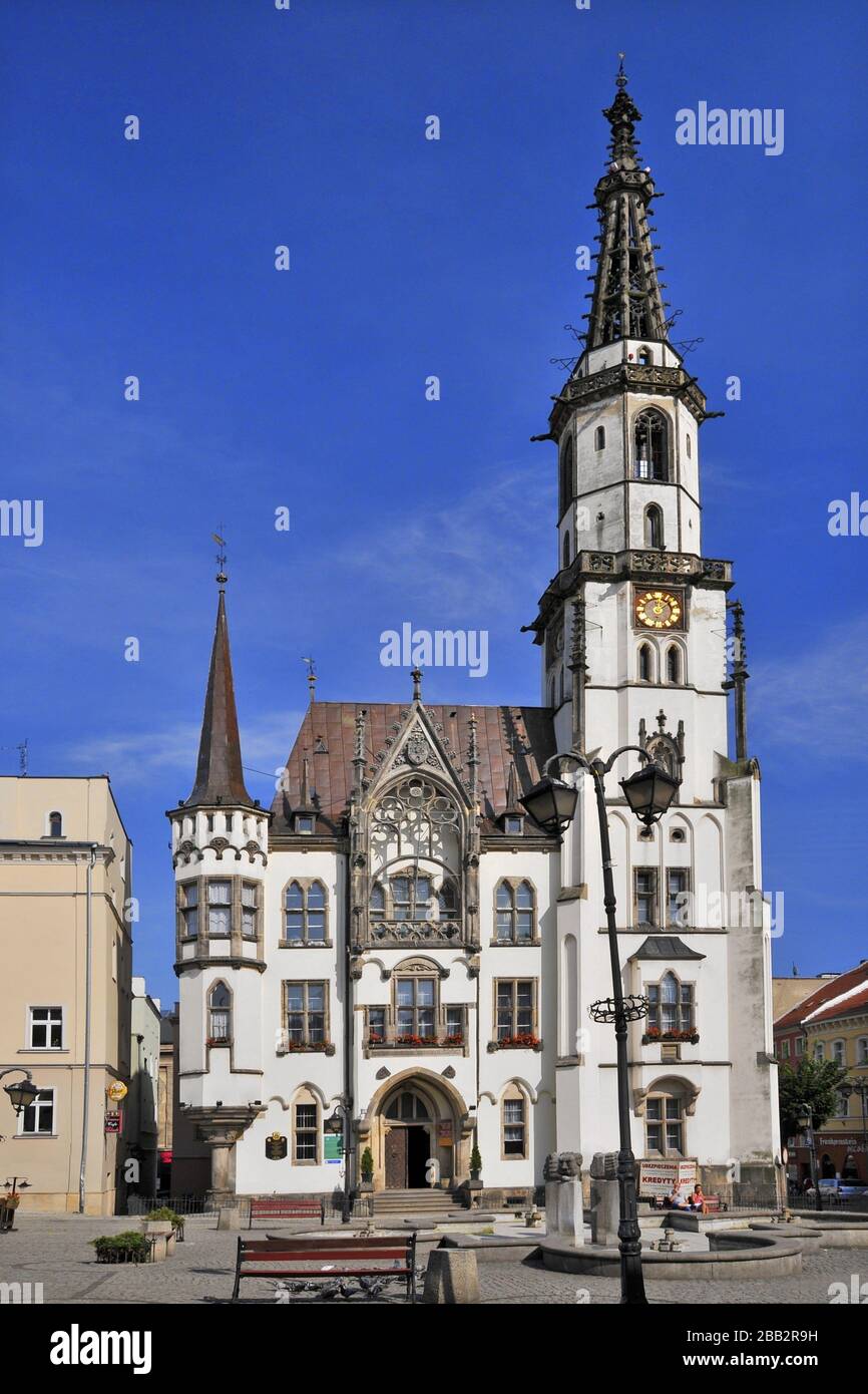 Town hall zabkowice slaskie hi-res stock photography and images - Alamy