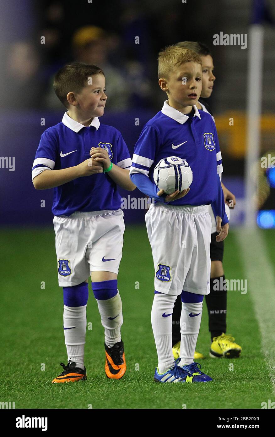 Everton mascots hi-res stock photography and images - Alamy