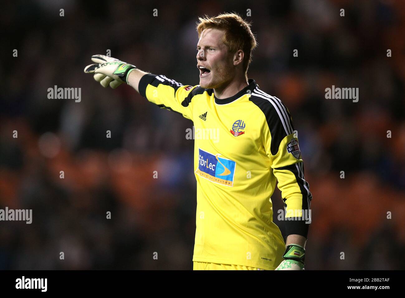 Bolton Wanderers goalkeeper Adam Bogdan Stock Photo - Alamy