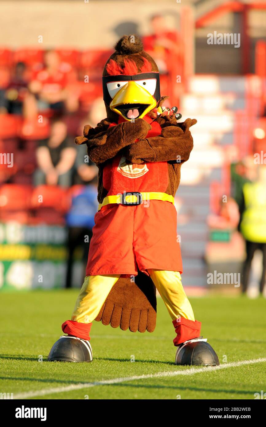 Swindon Town's mascot Rockin' Robin Stock Photo - Alamy